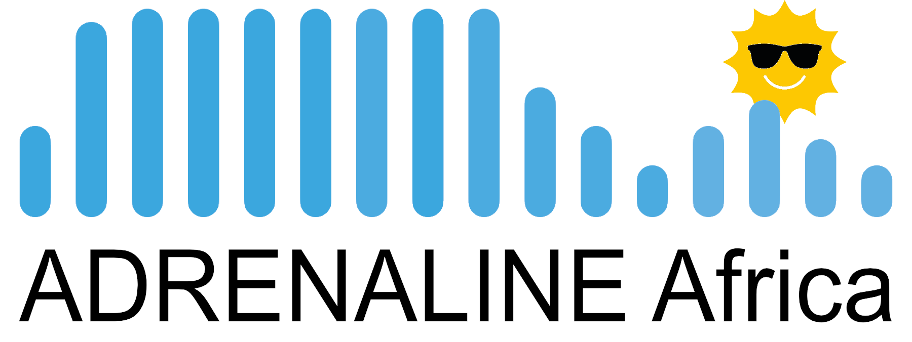 NP3 | Netflix Post Partner Program